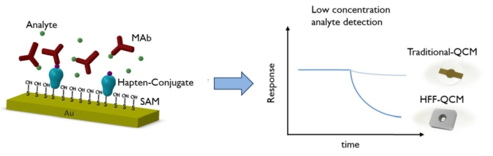 Technology QCMD - QCM - SAW - AWSensors | Scientific Technology